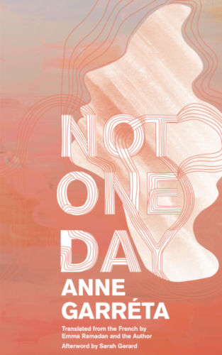 The over-intellectualisation of desire—Efemia Chela reviews Anne ...