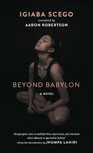 ‘Not your traditional immigrant novel’—Efemia Chela reviews Beyond ...